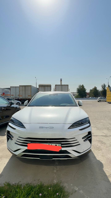 byd chempion