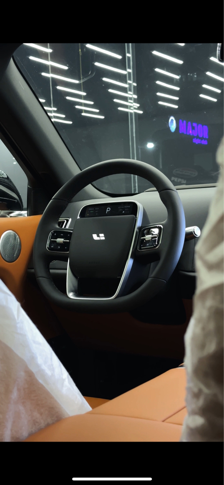 li 6 max va pro gibrid 2024