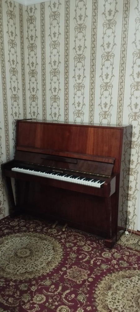 Pionina Belarus CCCR