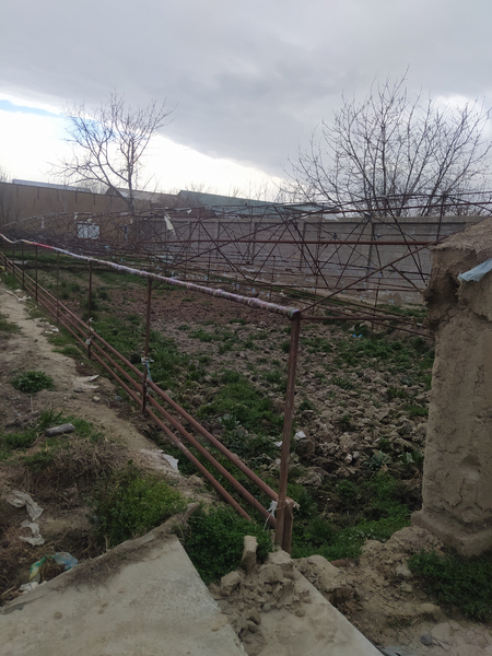 Карказ парник сотилади 2 сутук