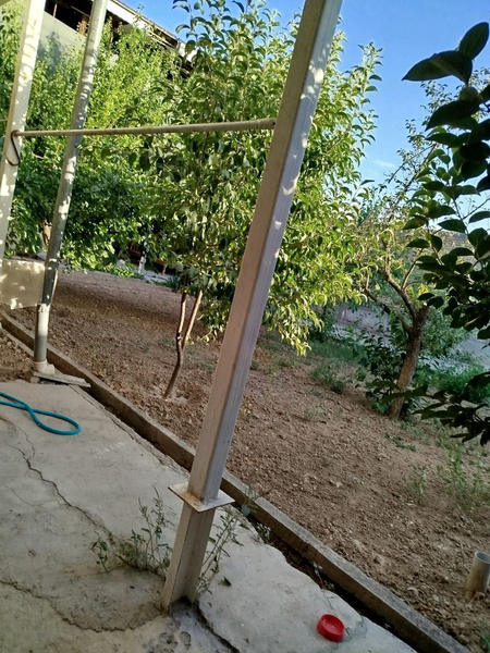 Котта ховли рохат