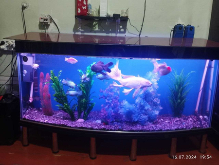prodam akvarium,