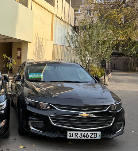 Rent car toshken uzb suxoy arenda avto prokat 24/7