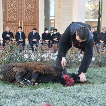 Кассоб Qassob servis xizmati xidsiz sogʻlom sifat qoʻylarimiz xam bor