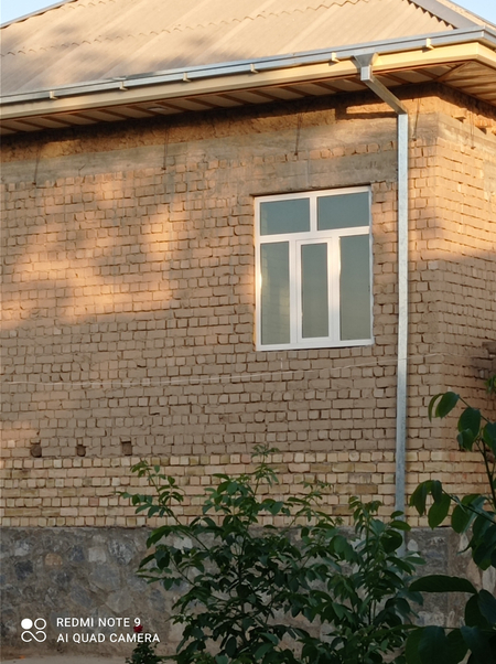 Gisht terish xizmatlari