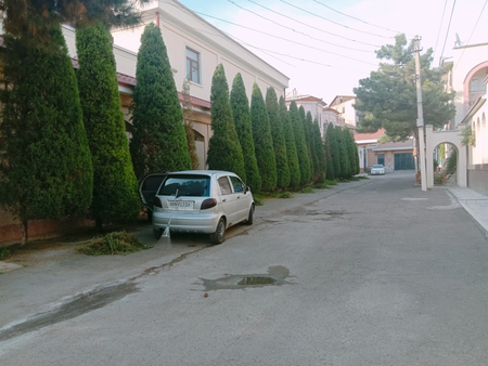 Archa qirqamiz ,  dorilash , lanshaft  , va boshqa xizmatlar bor .