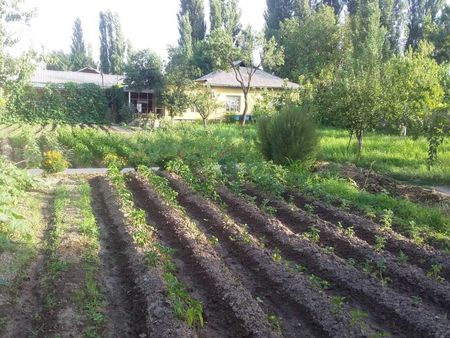 катта ҳовли срочно сотилади