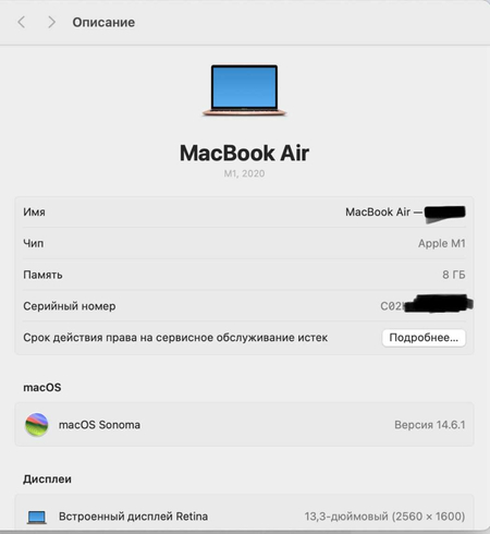 MacBook Air M1 (gold pink) 13.3