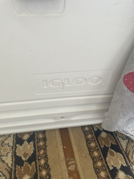Изотермический пластиковый контейнер igloo MaxCold America