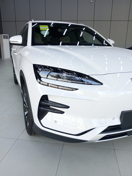 Byd song Champion 2024