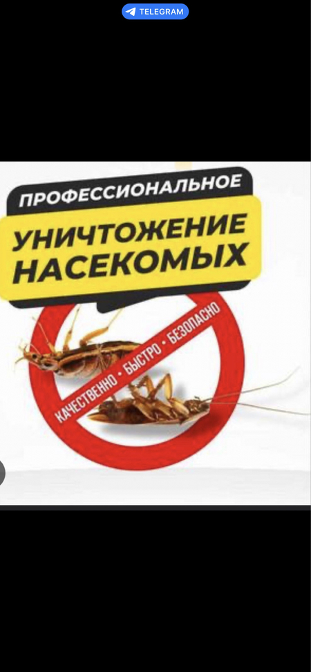 Iдизинфекс клапов таракани