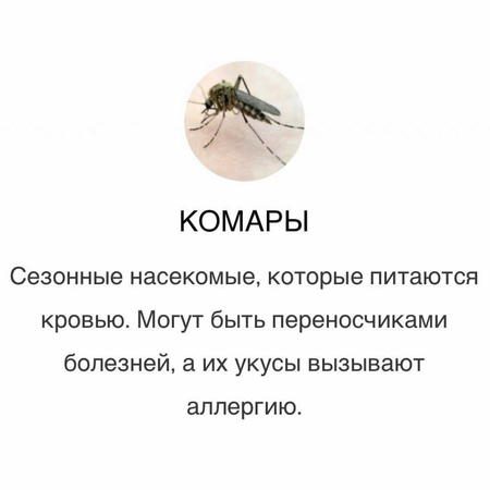 Дезинфекция Дезинсекция Dezinfeksiya | Dezinfeksiya|  Уничтожение клоп