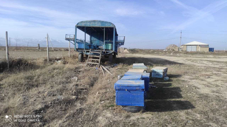 Асалари вагон. Улей на прицепе.