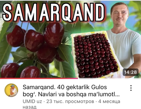 Узимиз  бог’   к,илиб берамиз