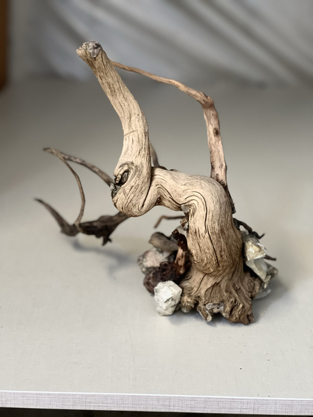 Коряга готовая