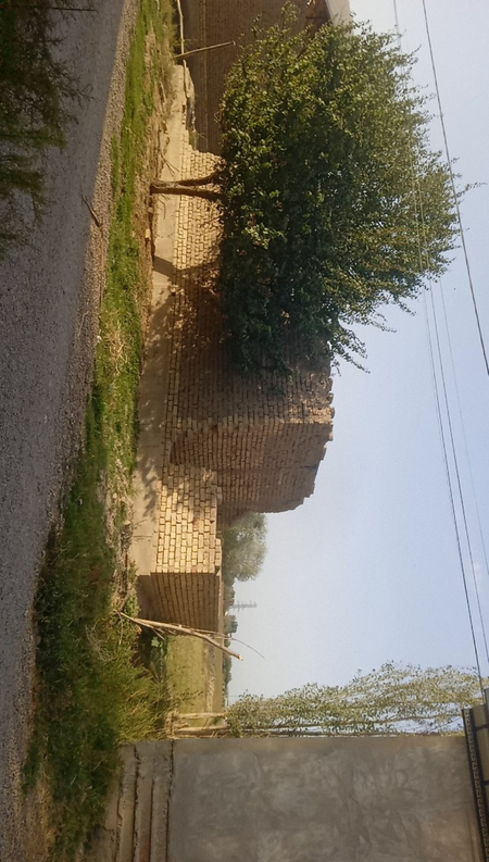 Uy xovli yer sotiladi narxi 13000 y.e