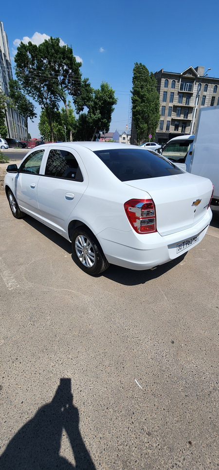 COBALT LTZ 2024 Avtomat