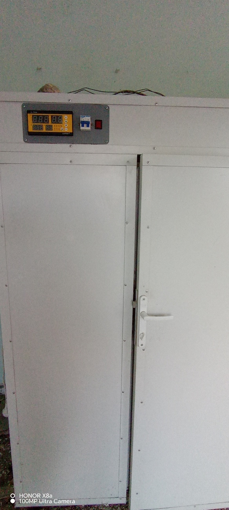 Inkubator 2200 talik