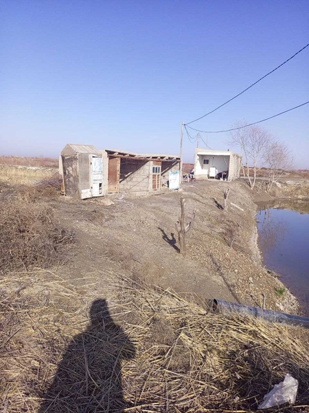 Baliqxona / Баликхона