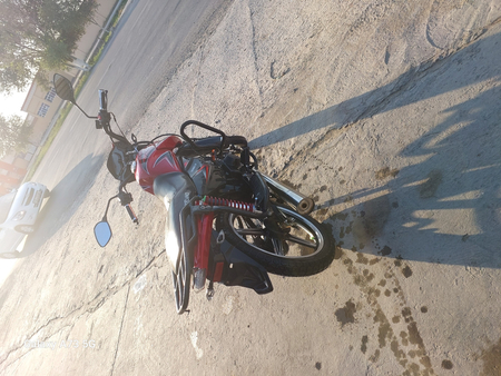 Bikeland Moped 2022 yil