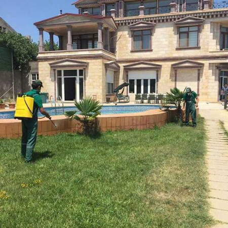 Dezinfeksiya hizmati toshkent