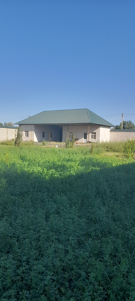 Dala xovli sotiladi  25 sotix 4 xonasi bor molxonalri bor  daraxtlar