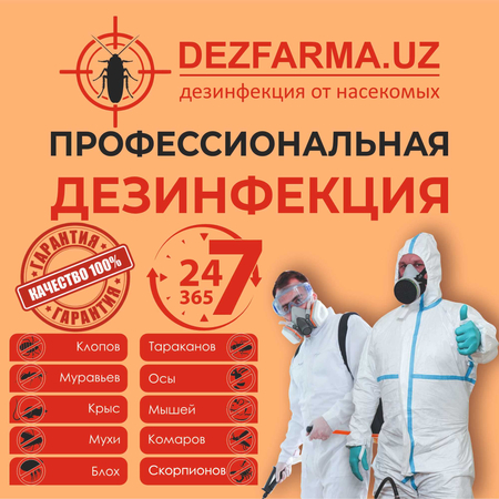 Дезинфекция Дезинсекция Dezinfeksiya | Dezinfeksiya|  Уничтожение клоп