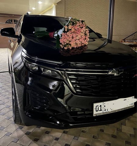 Rent a car Avto prakat