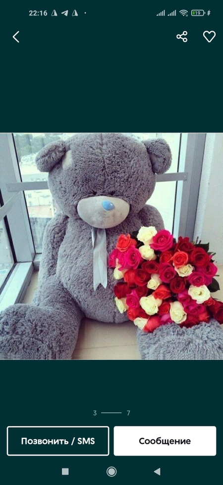 Teddi + Teddy+Тедди..