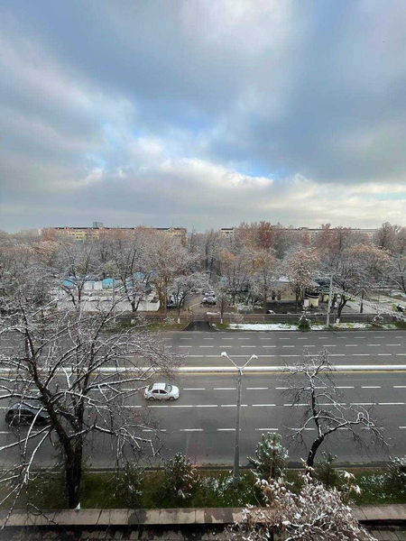 Шарафа Рашидова 3/5/7 Спец план (143353)