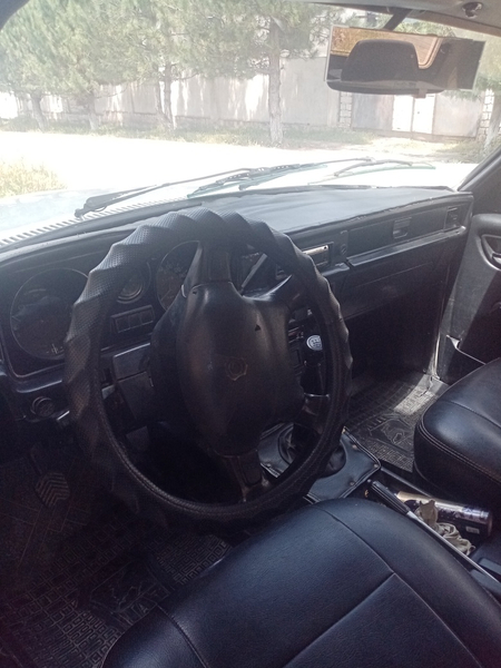 3102 Radnoe moshina