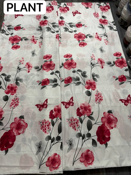Plant Bambuk xitoy