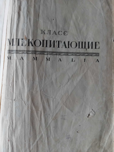 Книги 1930х гг Брем Жизнь животных том5,Физиология человека
