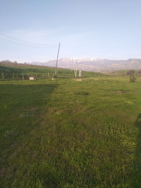 Паркентская область