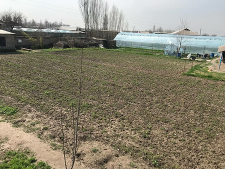 Продается. Сурум, Куйи-Чирчикский район, теплица