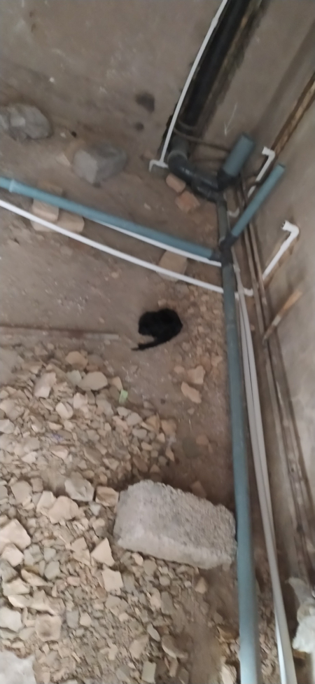 Urachi tiranshe kanalzatsiya hizmatlari hamda Santehnik hizmatlari