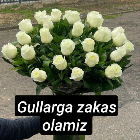 Zakas olamiz toshkent dastavka