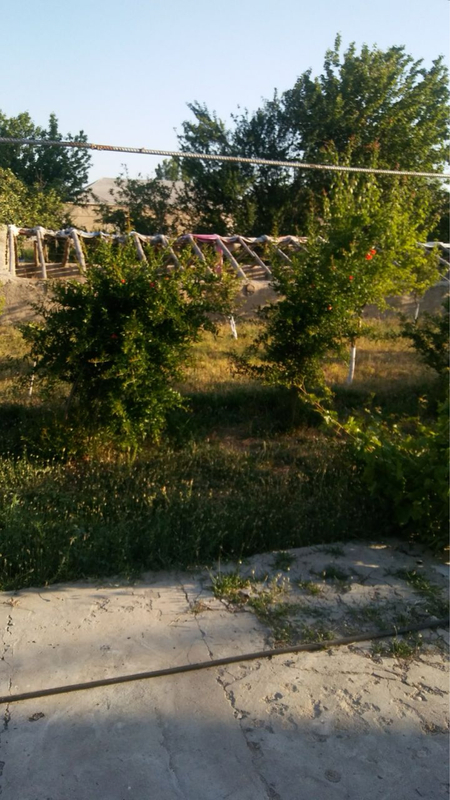 Продается земля. 撒马尔罕出售土地