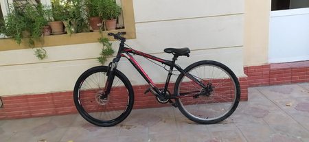 Velaseped sotiladi xolati yaxshi