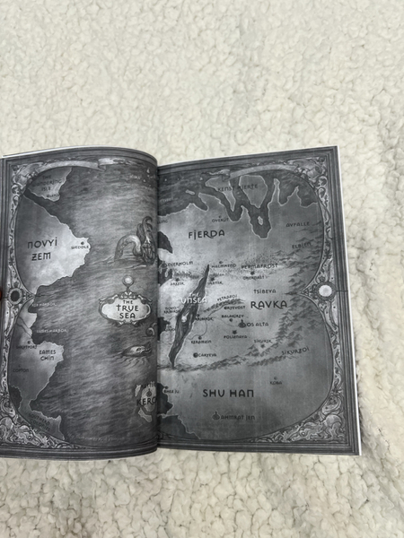 книга siege and storm
