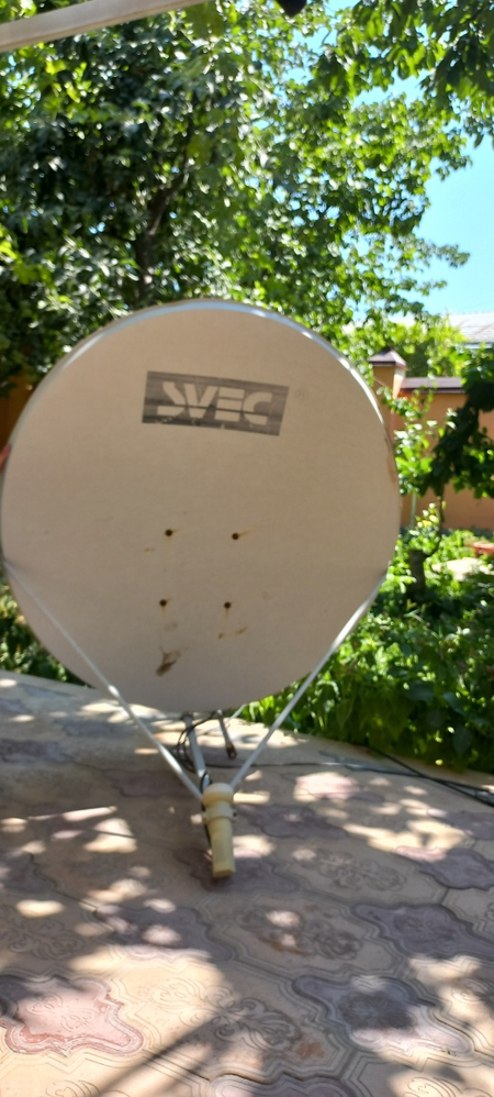 Barabalka  antena         .