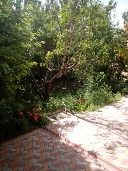 №2773.Продается Большой Дом.