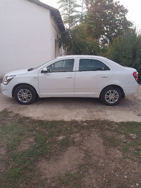 Kobolt radnoy kraska