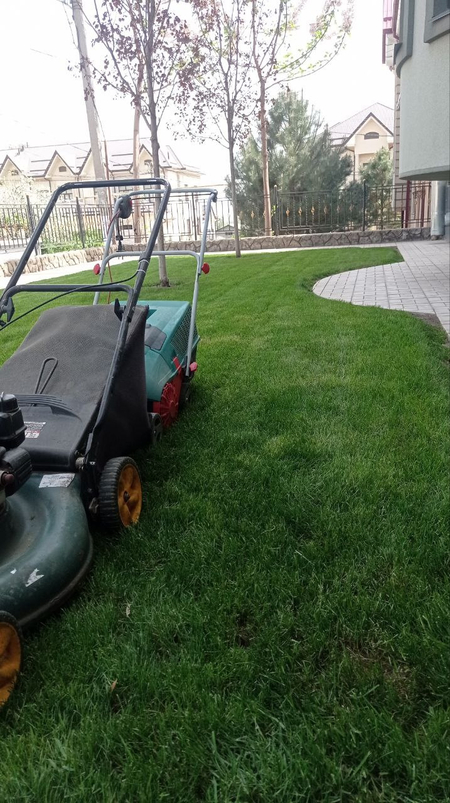 Gazon ekish uruqdan chiqarish kvadirati 25000 dan  yer holatiga qarab.