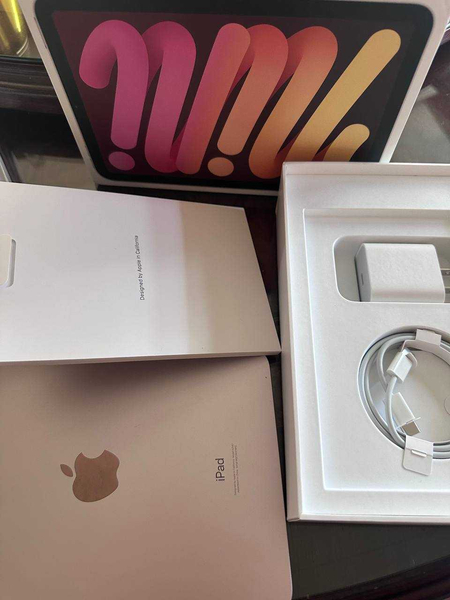 iPad mini pink 258 gb