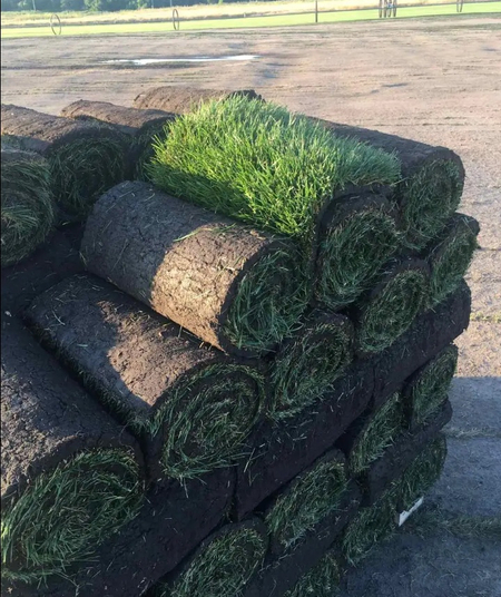 Качественный Живой Рулонный Газон
