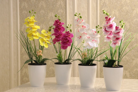 Sunniy Decor gullar