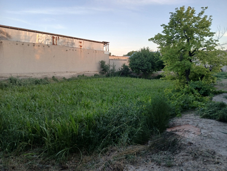 Uy sotiladi Buxoro viloyati Vobkent tumani