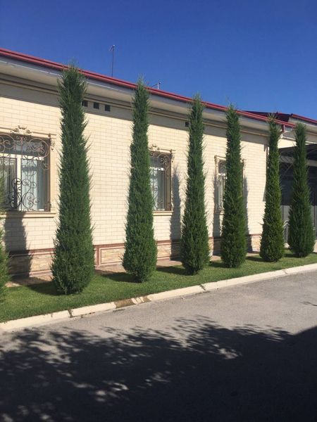 archalaga Kesish forma berish xizmati bor