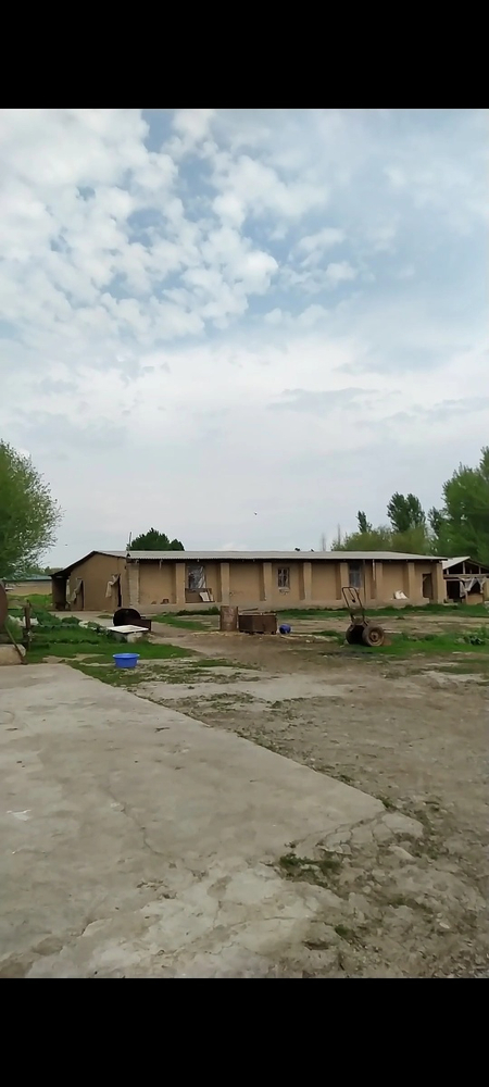 Ferma sotiladi hamma sharoiti bor tayyor biznes